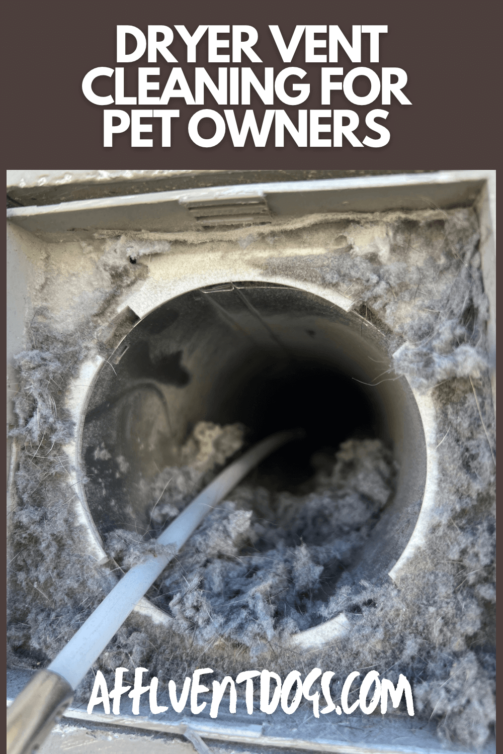 Dryer Vent Cleaning for Pet Owners | Affluent Dogs