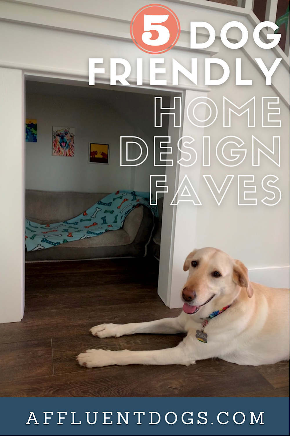 Dog Friendly Home Design Favorites | Affluent Dogs